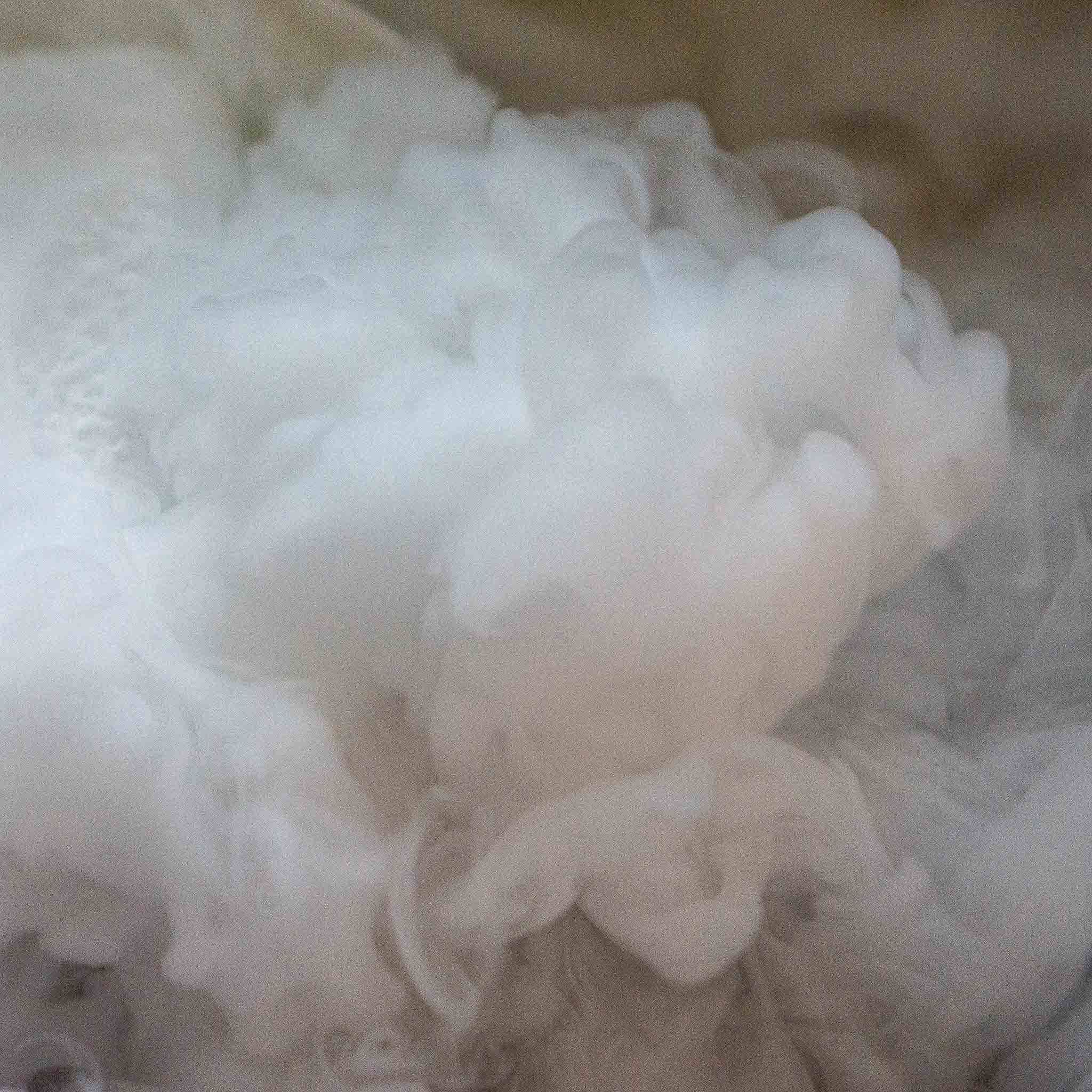 What Is Cotton? Cotton's History, Characteristics, and Applications ( 2025)